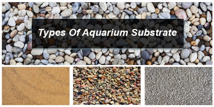 Types Of Aquarium Substrate | Home Aquarium Guide